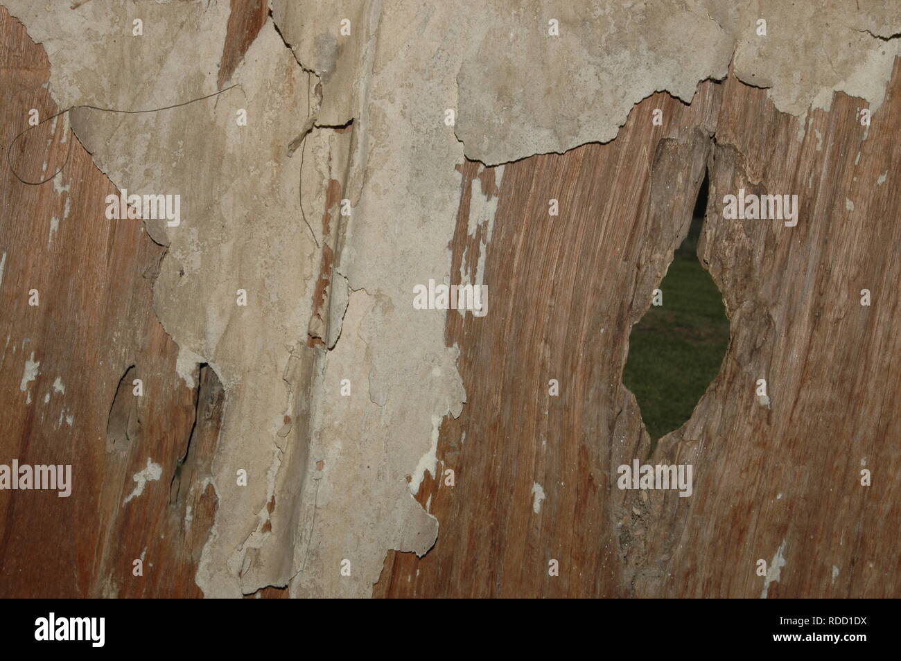 Inside Orroral Homestead Stock Photo - Alamy