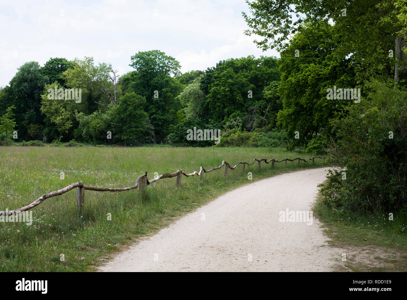 A path in a park in Germany Stock Photo - Alamy