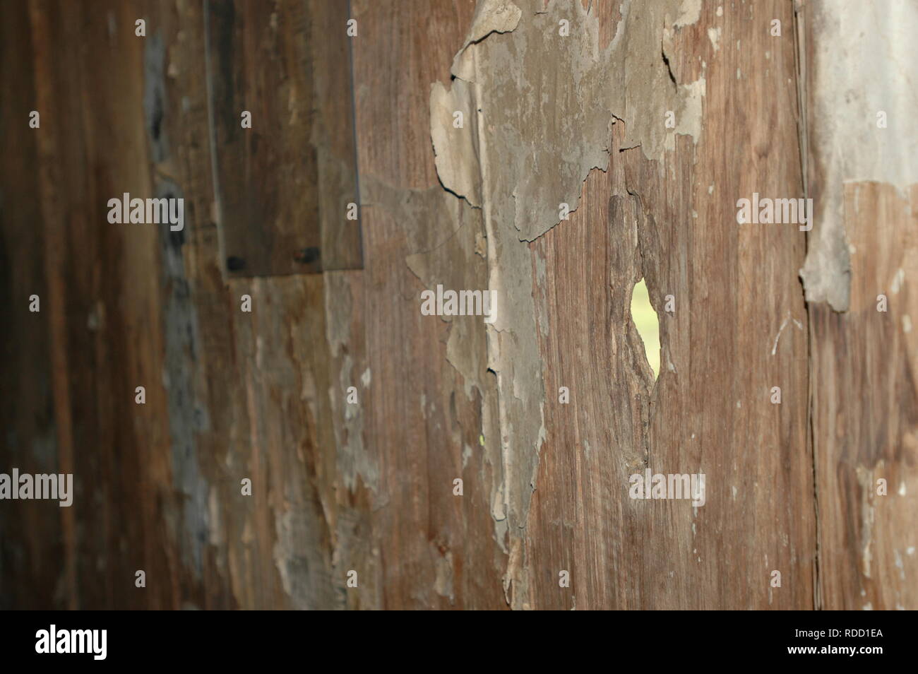 Inside Orroral Homestead Stock Photo - Alamy