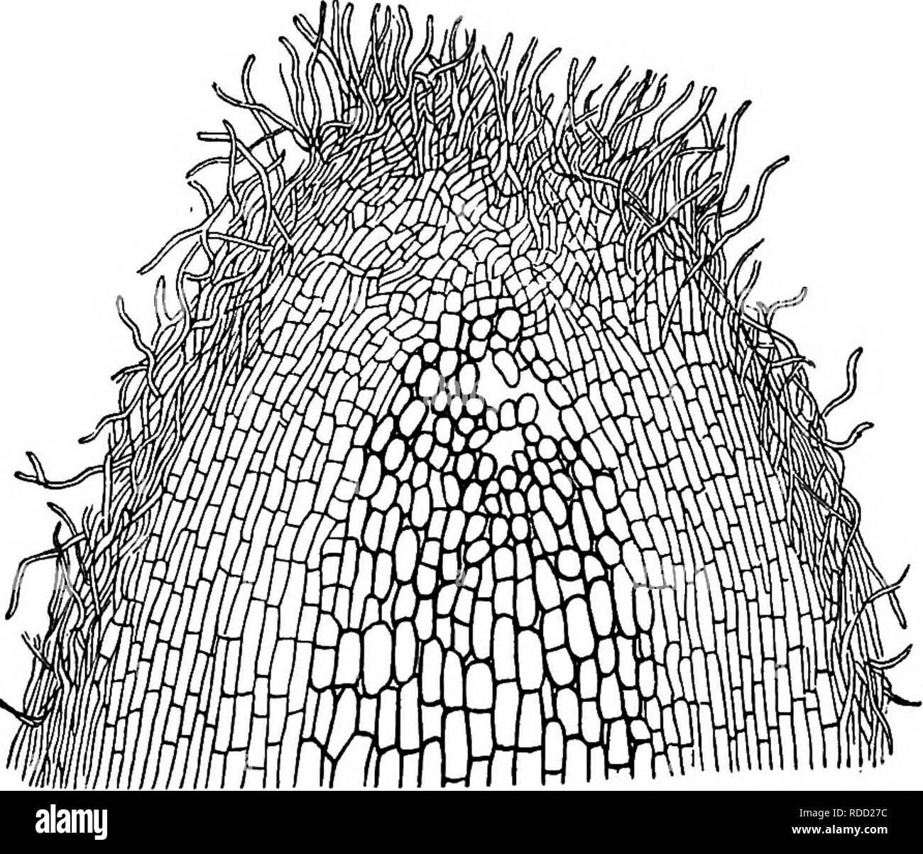 Subterranean networks hi-res stock photography and images - Alamy