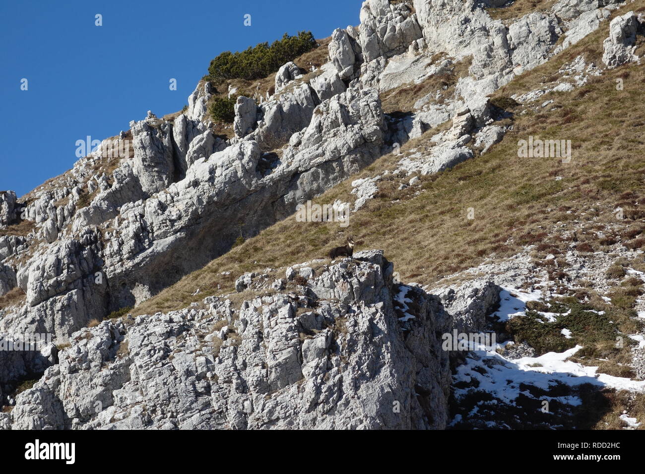 Altissimo at lake garda hi-res stock photography and images - Alamy