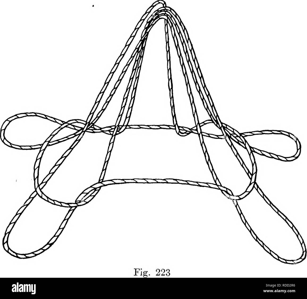 Ulnar loop hi-res stock photography and images - Alamy