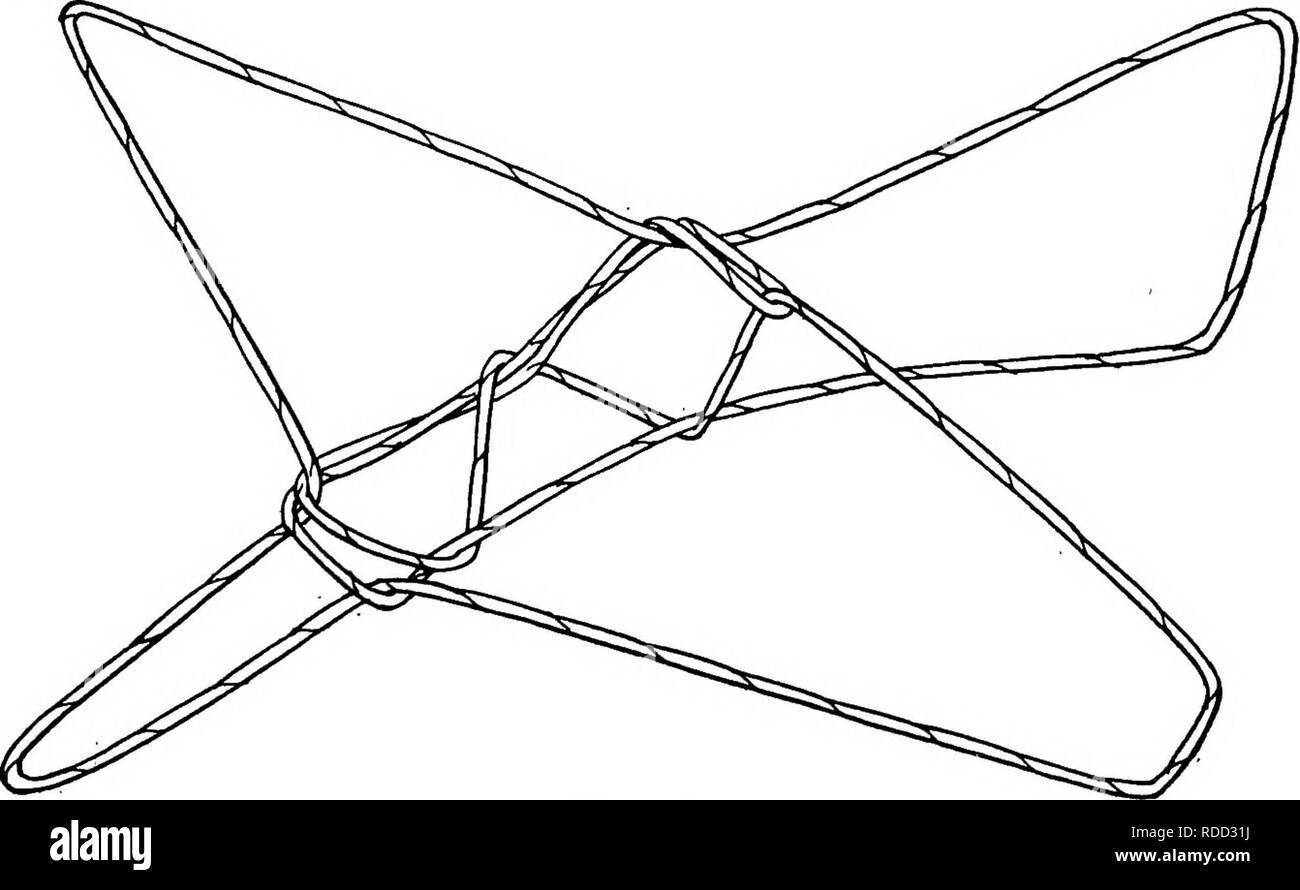 Transverse procedure Black and White Stock Photos & Images - Alamy