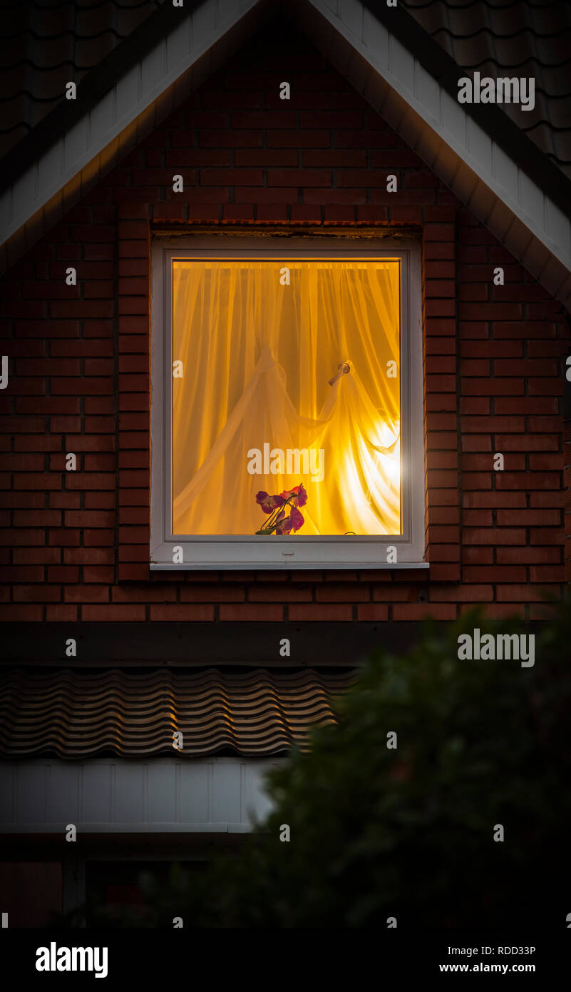 Light from the window of the house in the dark evening time Stock Photo ...