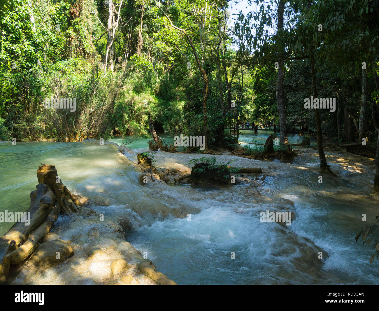 Cascade in part of three tiered Tat Kuang Si Waterfalls in Kuang Si ...