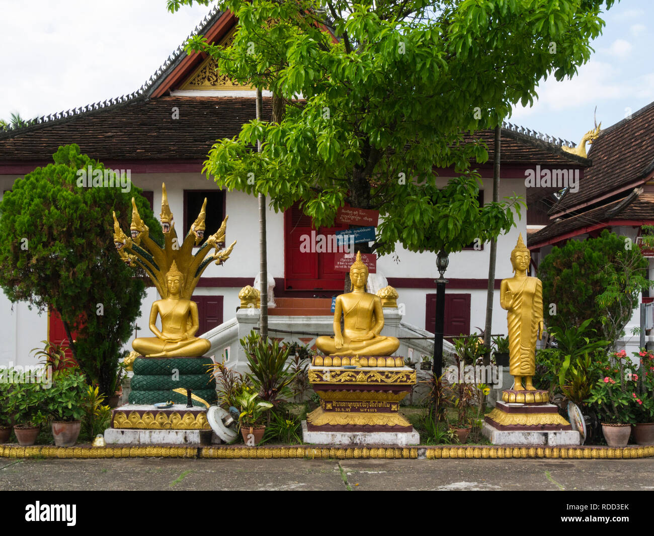 Gilded buddha in one of temples Luang Prabang Royal Palace and national ...