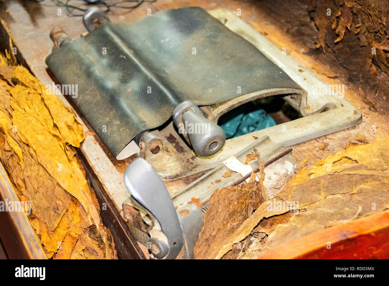 Inside the tobacco factory hi-res stock photography and images - Alamy