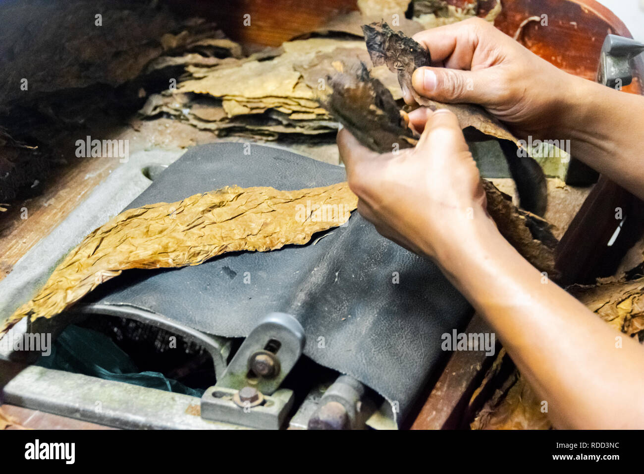Cigar making table hi-res stock photography and images - Alamy