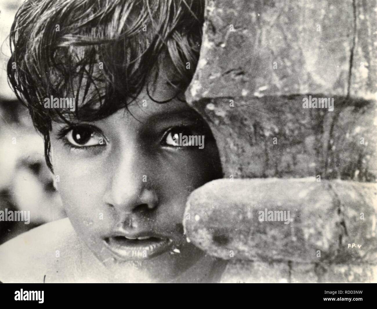 Satyajit Ray Wallpapers