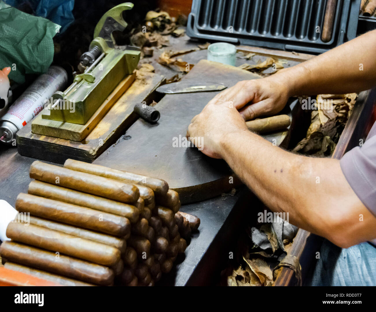 Traditional manufacture of cigars at the tobacco factory. Closeup of ...
