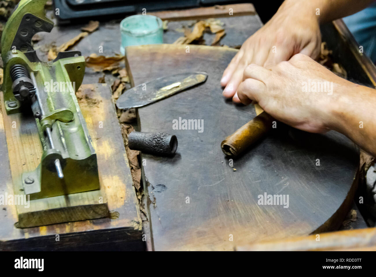 Traditional cuban cigar maker hi-res stock photography and images - Alamy