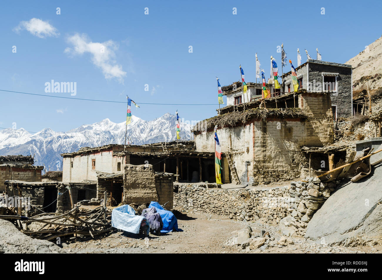 Jhong hi-res stock photography and images - Alamy