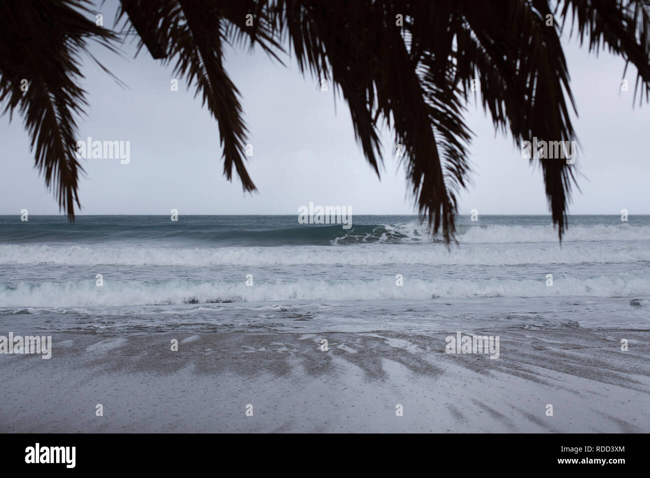 Surf forcast hi-res stock photography and images - Alamy