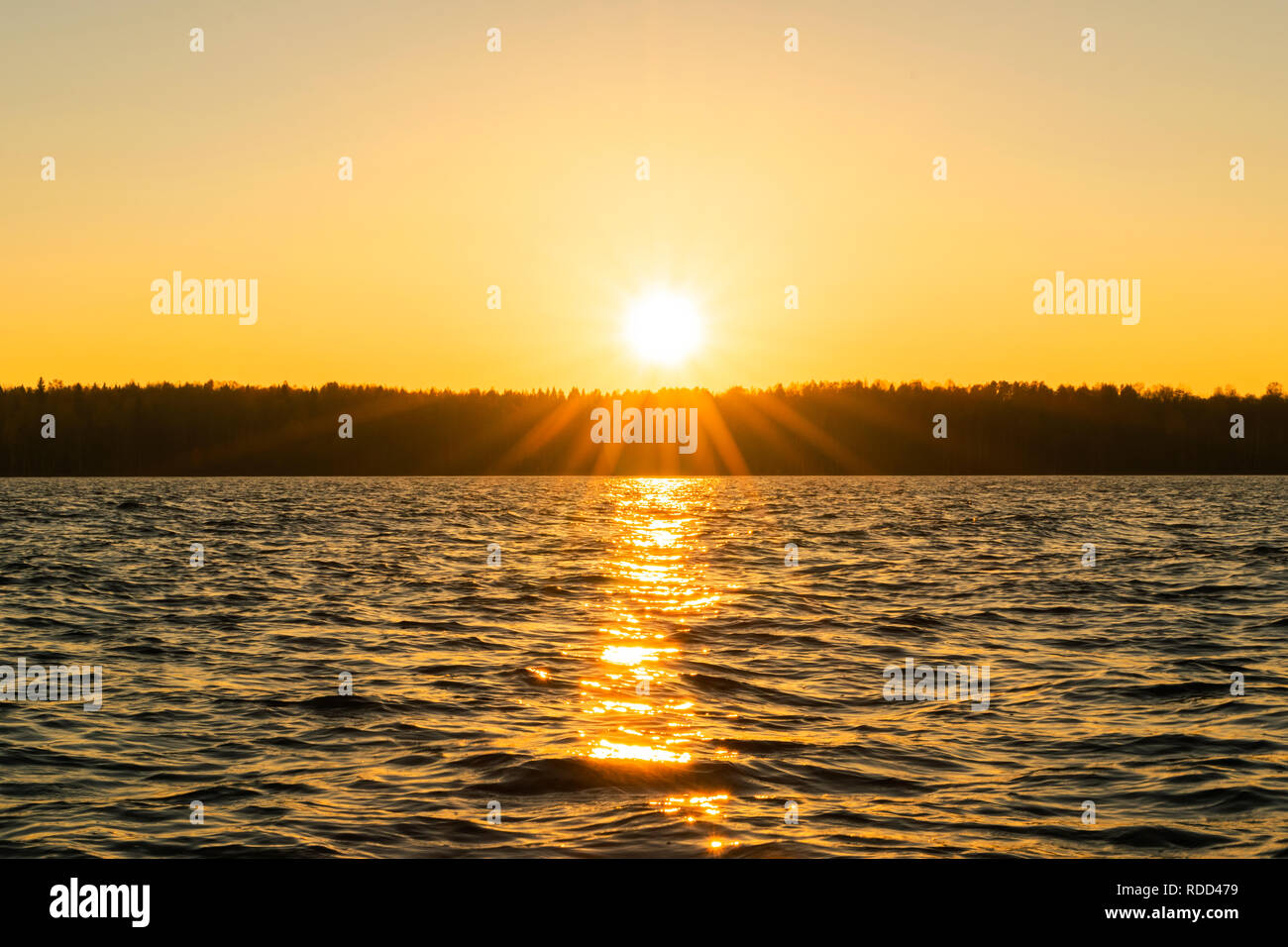 Sunset sky background. Dramatic gold sunset sky with evening sky clouds ...