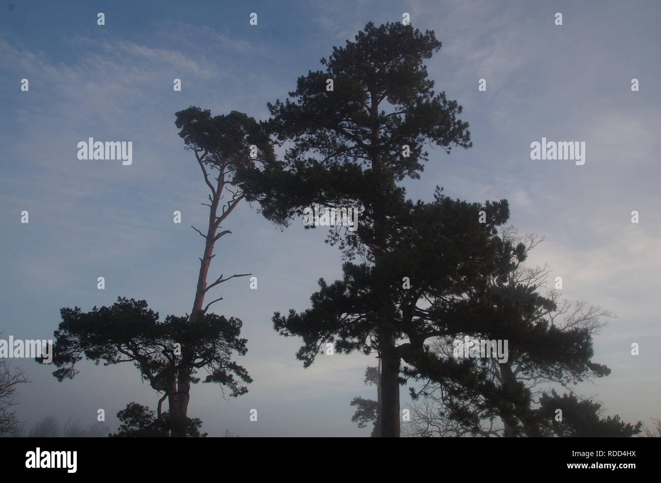 Great Elm. The Macmillan Way. Long-distance trail. Somerset. England ...