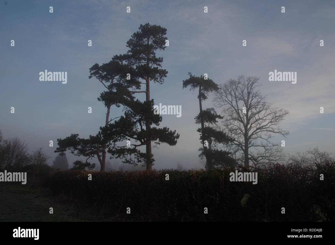 Great Elm. The Macmillan Way. Long-distance trail. Somerset. England ...