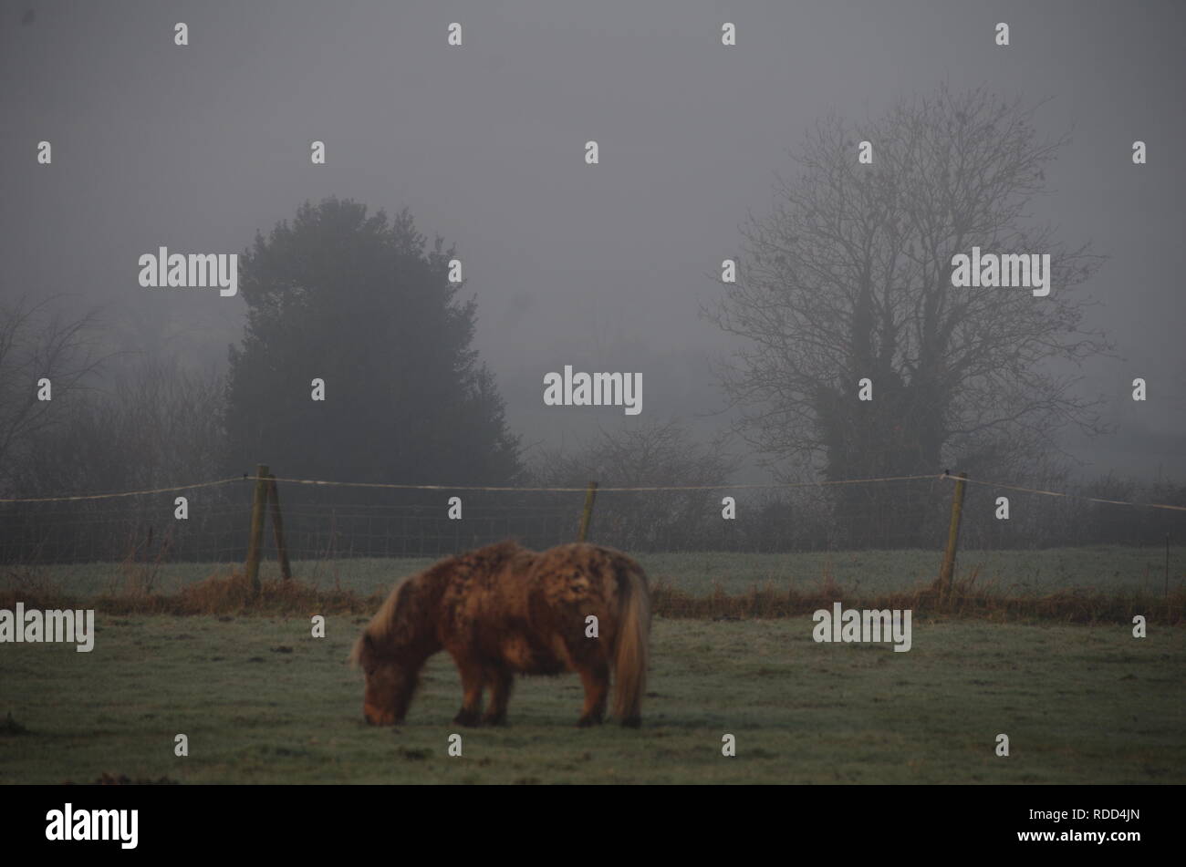 Great Elm. The Macmillan Way. Long-distance trail. Somerset. England ...
