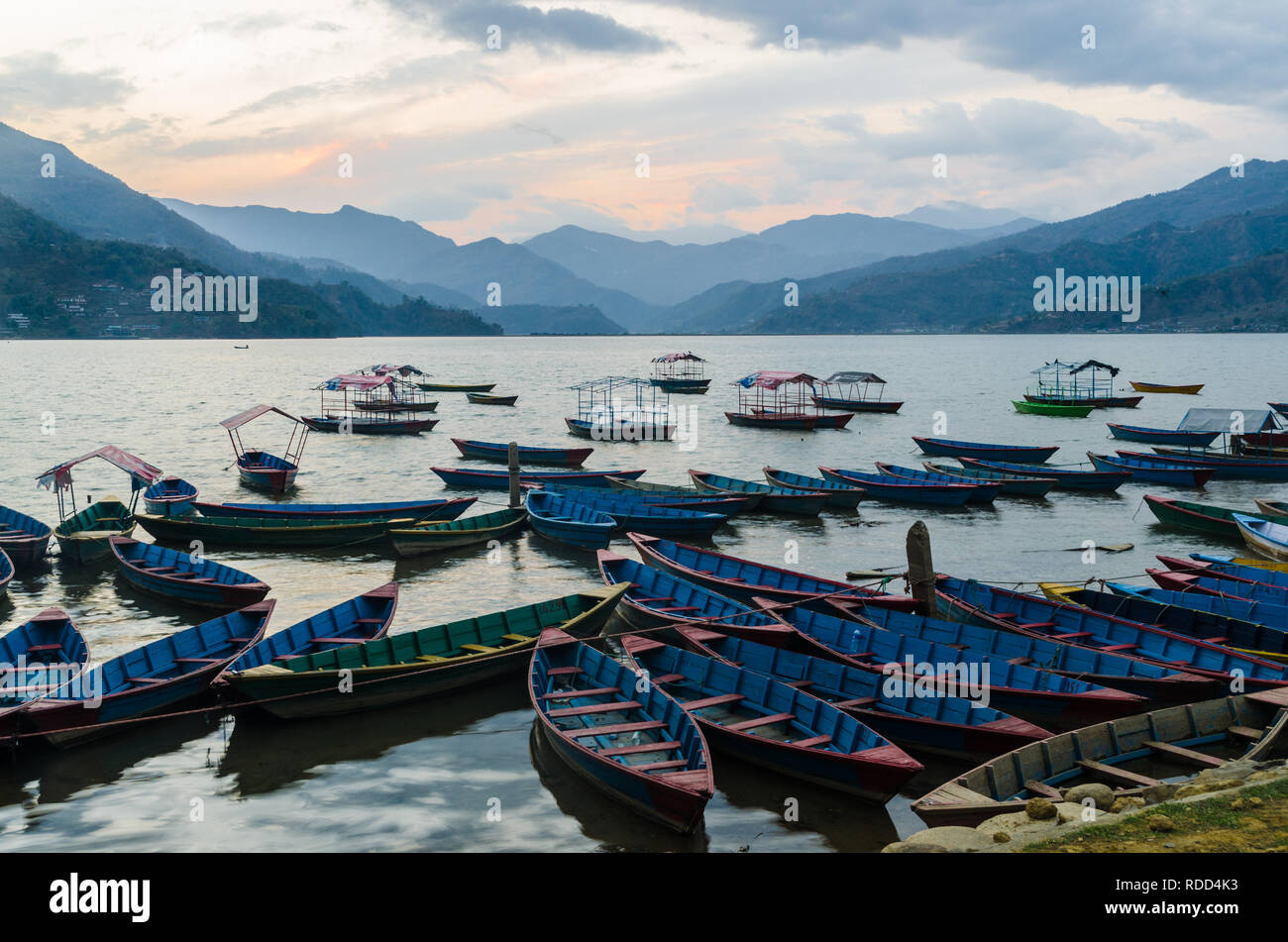 Phewa lake hi-res stock photography and images - Alamy