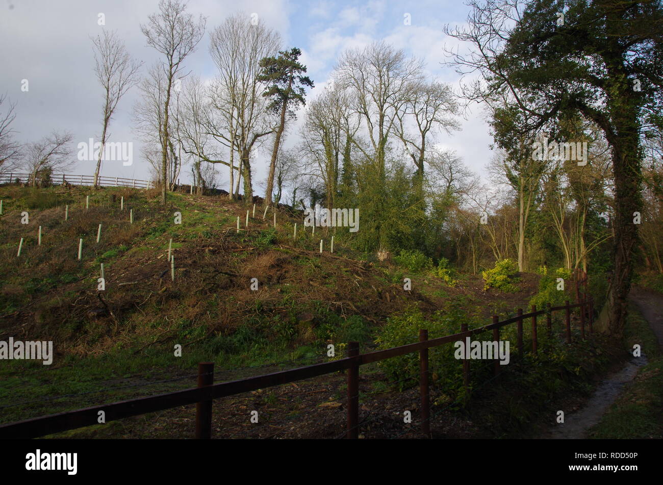 The Macmillan Way. Long-distance trail. Somerset. England. UK Stock ...