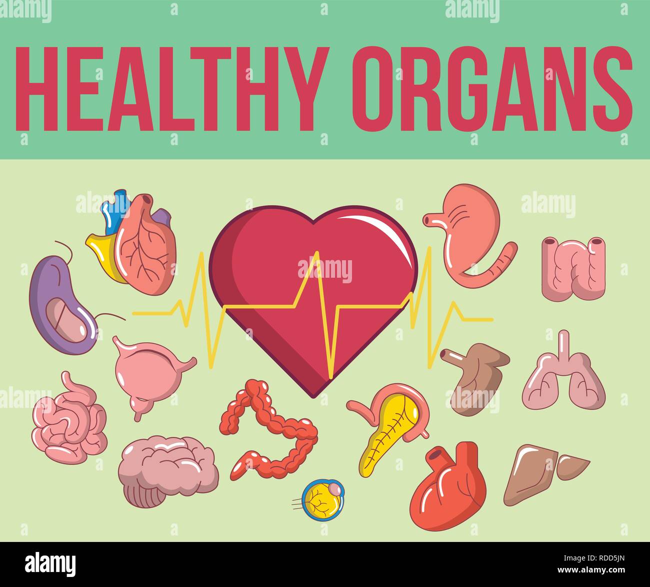 Healthy organs concept banner, cartoon style Stock Vector Image & Art ...