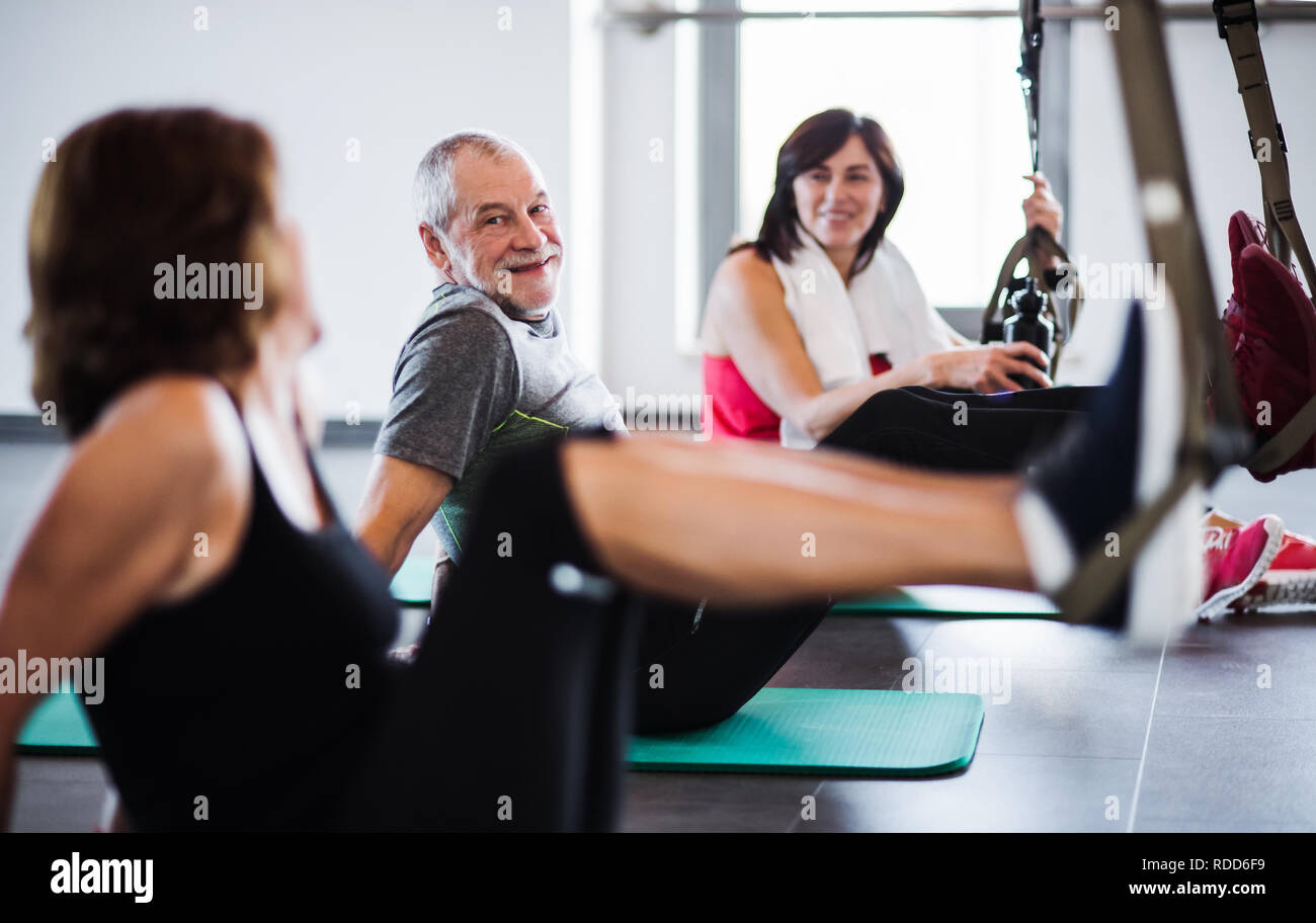 A group of cheerful seniors in gym doing exercise with TRX Stock Photo ...