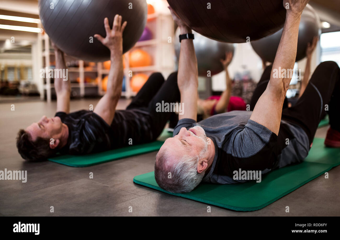 A group of cheerful seniors in gym doing exercise with fit balls Stock ...