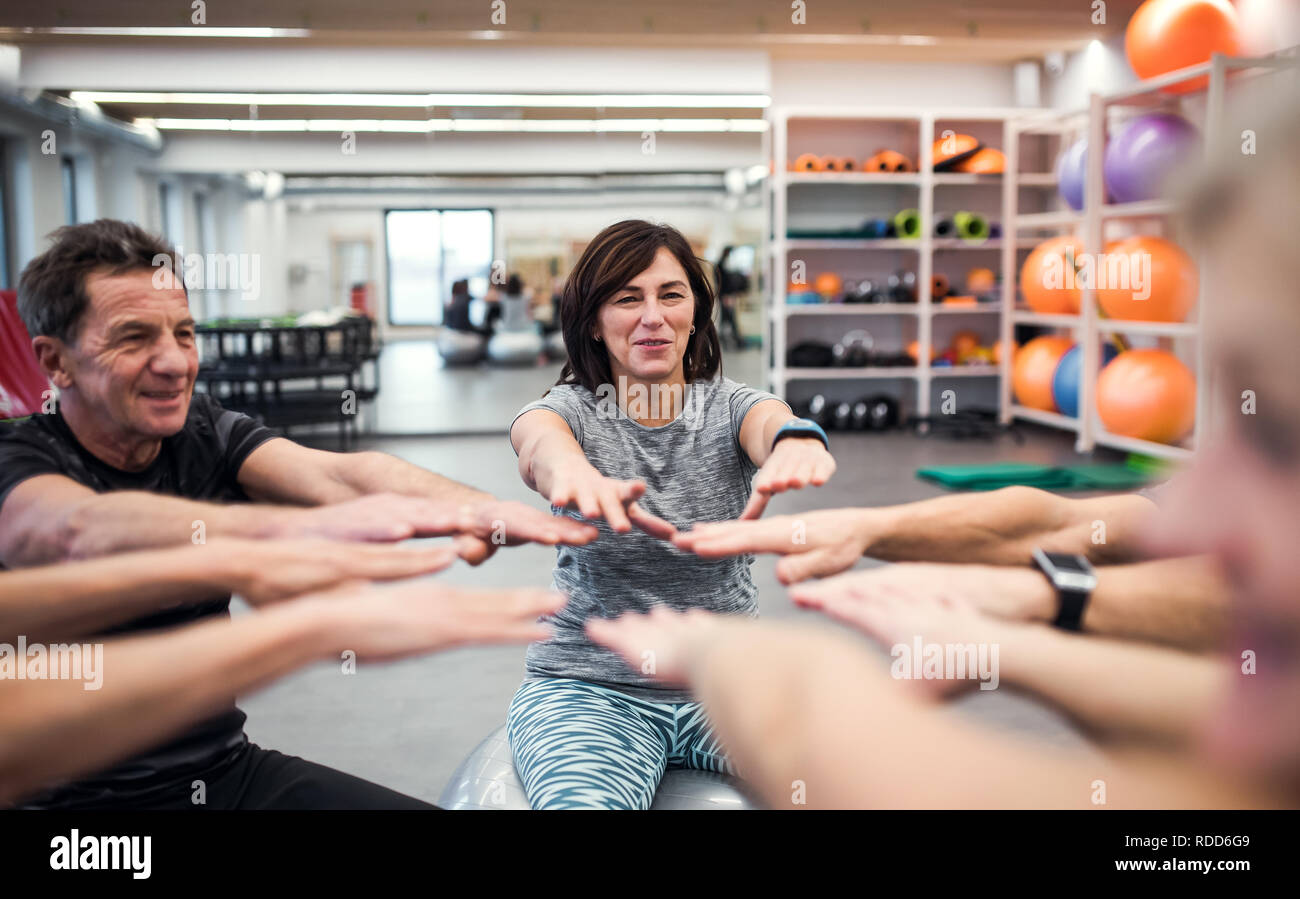 A group of cheerful seniors in gym doing exercise on fit balls Stock ...