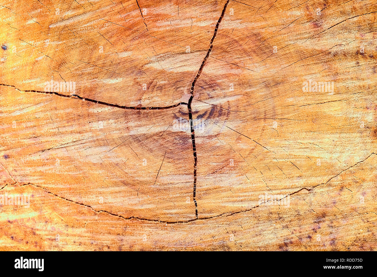 Close-up and details of the timber that is cut with the saw blade, wood ...