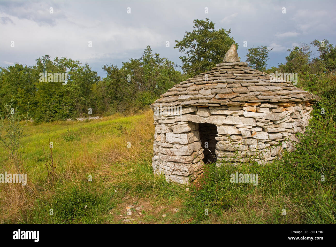 Kazuni hi-res stock photography and images - Alamy