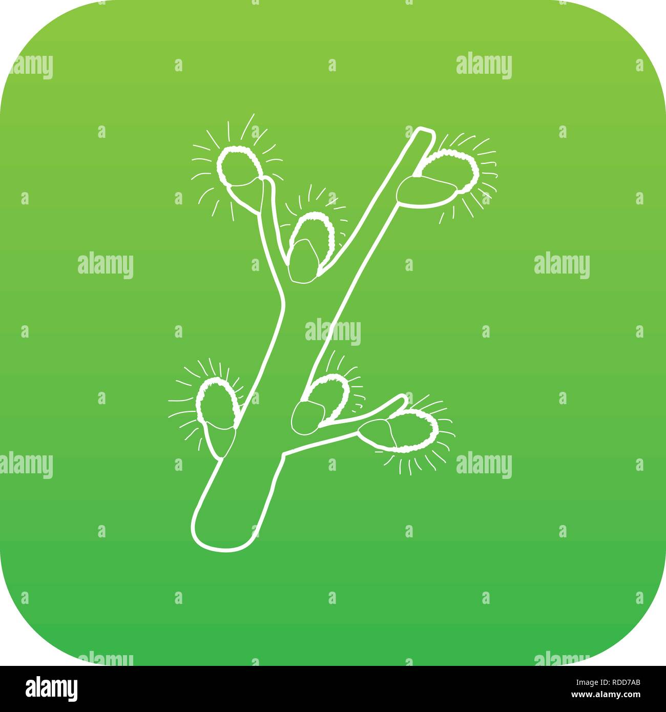 Beautiful flowering cherry tree springtime Stock Vector Images - Alamy