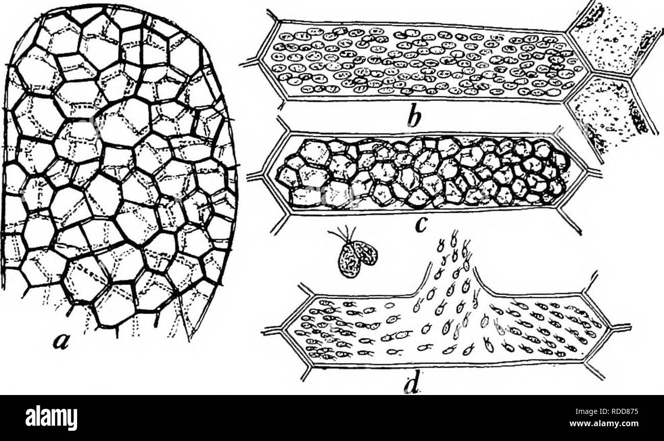 Marginal ponds Black and White Stock Photos & Images - Alamy