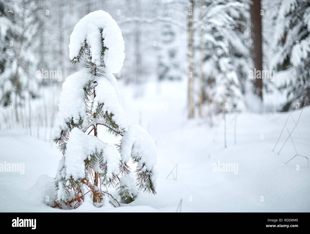 Climate and weather hi-res stock photography and images - Alamy