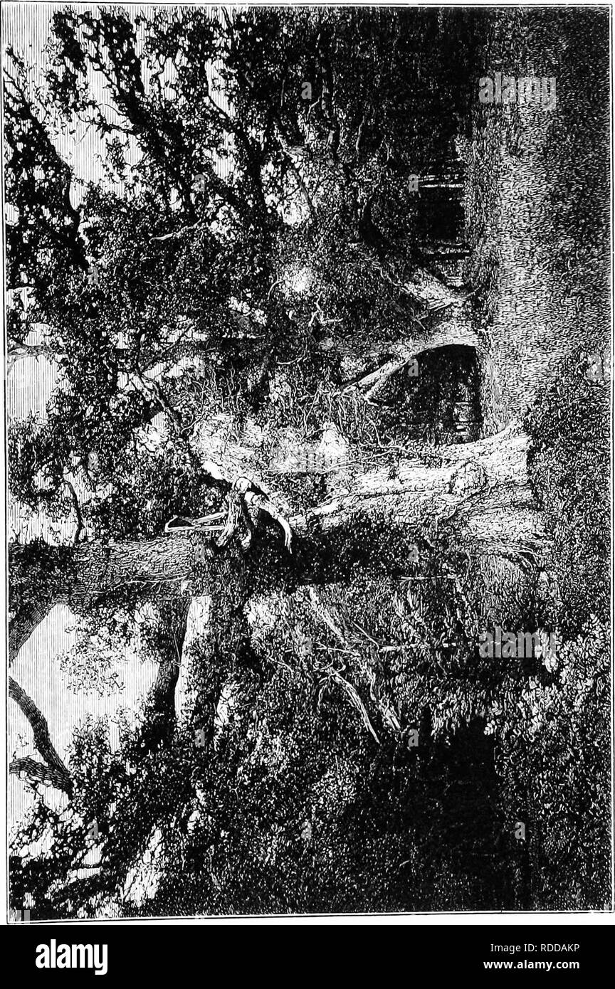 George searle hi-res stock photography and images - Alamy