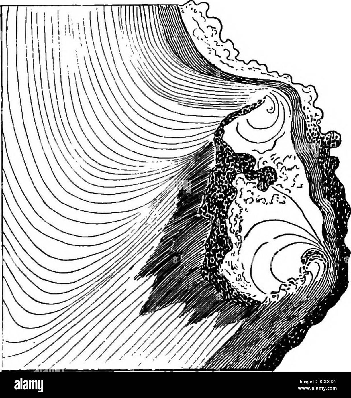 Sirie Black and White Stock Photos & Images - Alamy