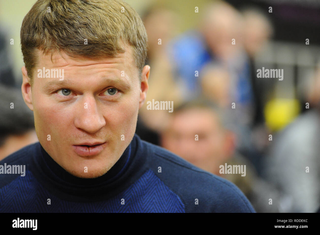 Russian boxer hi-res stock photography and images - Alamy