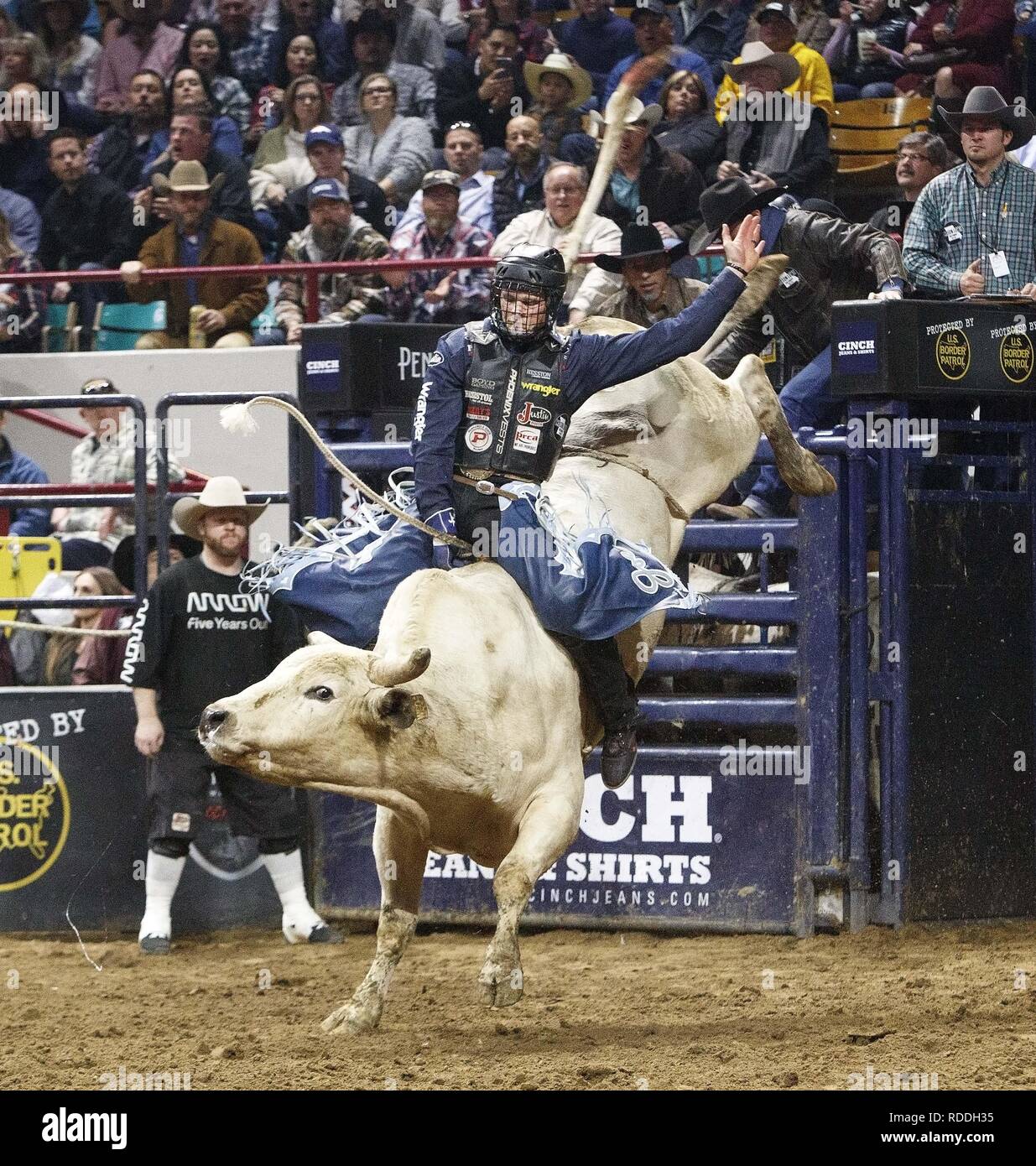 Bull rider chute hi-res stock photography and images - Alamy
