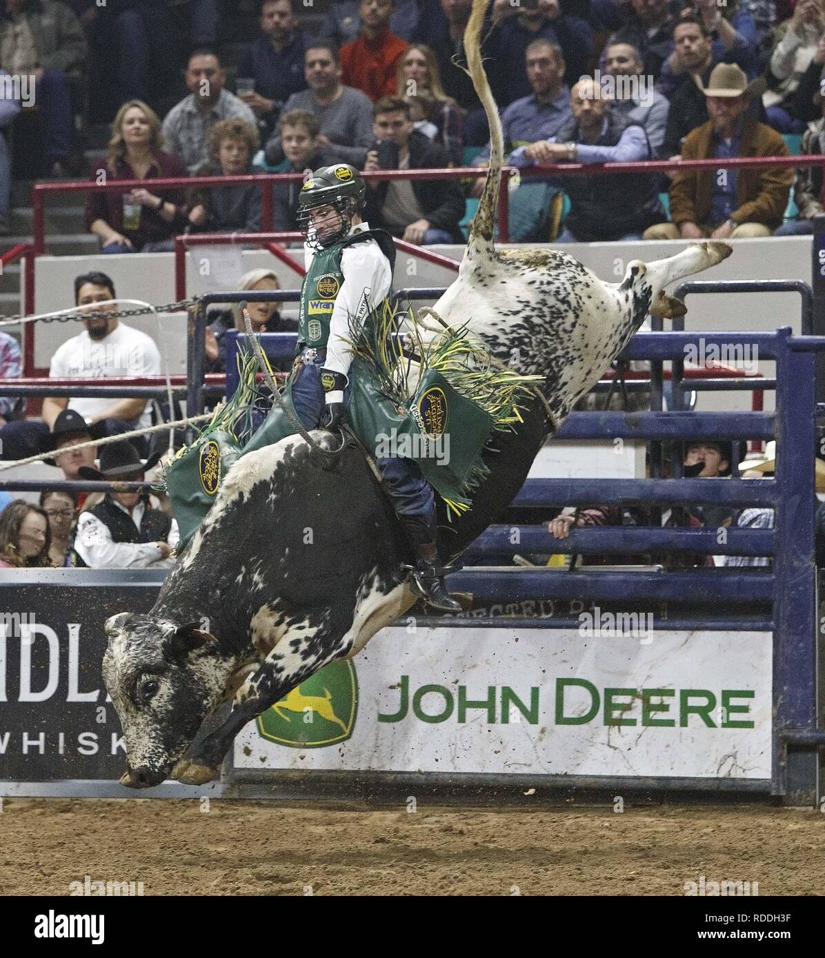 Bull rider chute hi-res stock photography and images - Alamy
