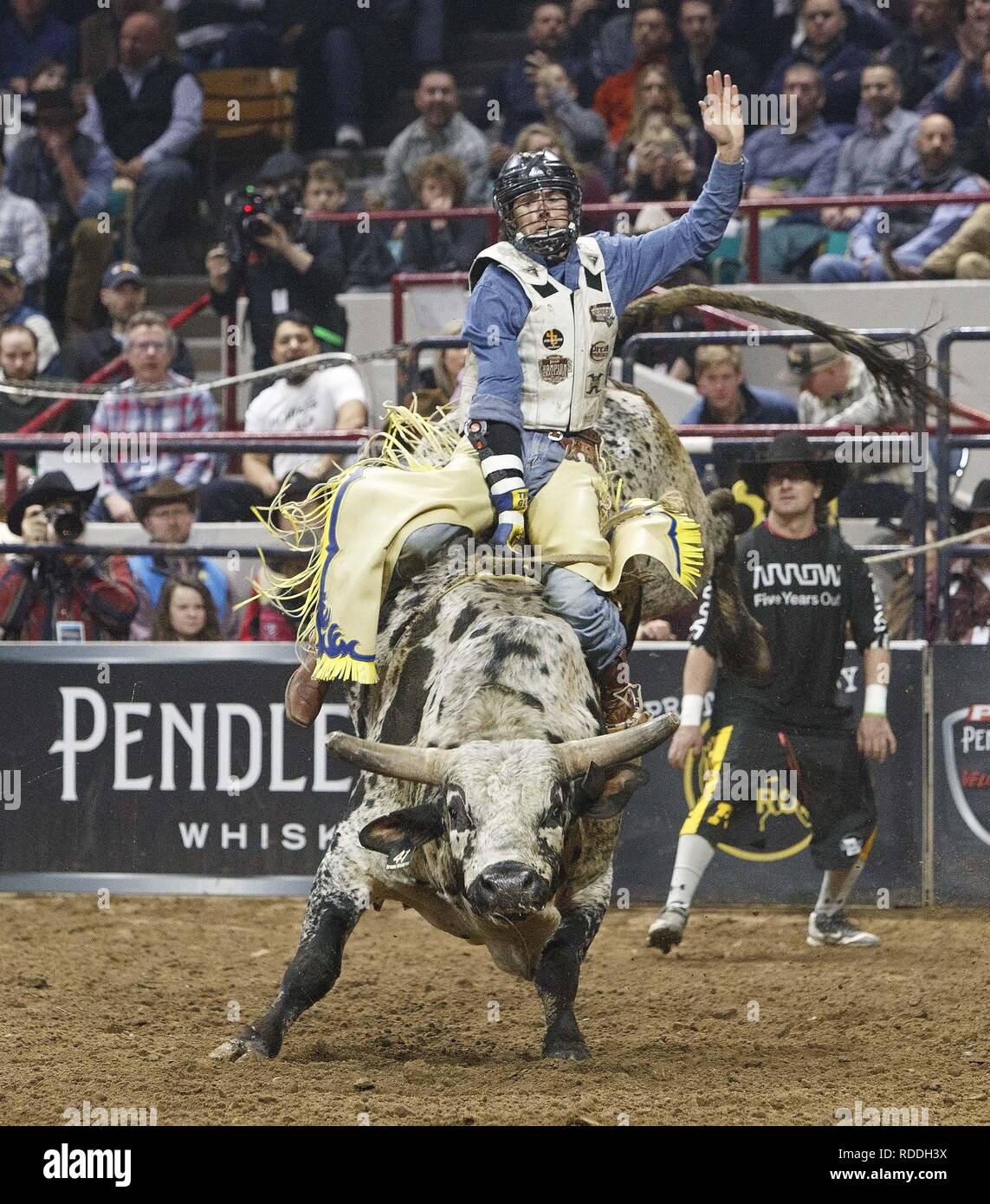 Denver, Colorado, USA. 16th Jan, 2019. Bull Rider DALAN DUNCAN of ...