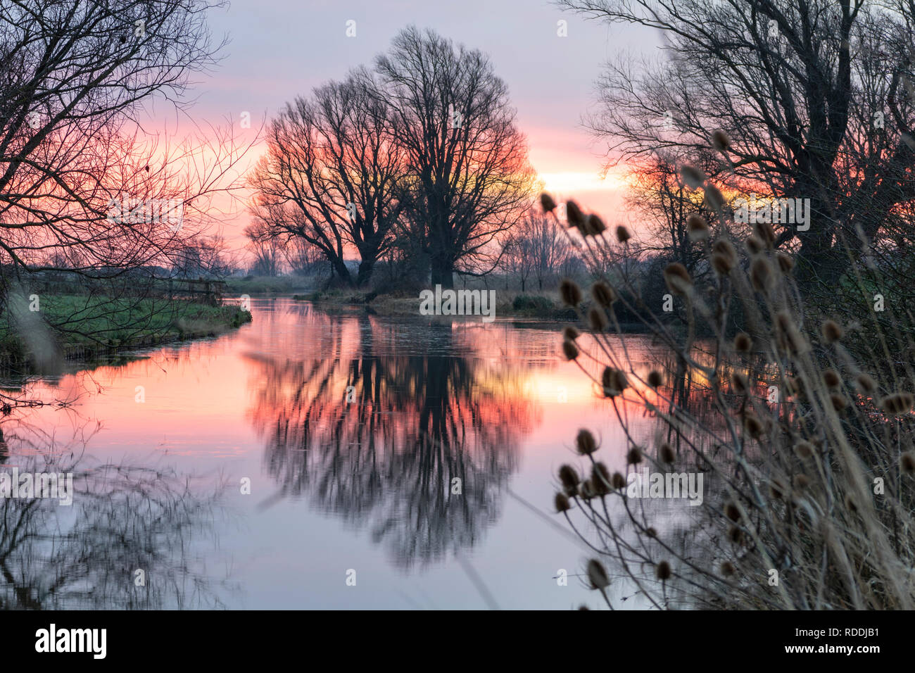 Fen fens river landscape dawn hi-res stock photography and images - Alamy