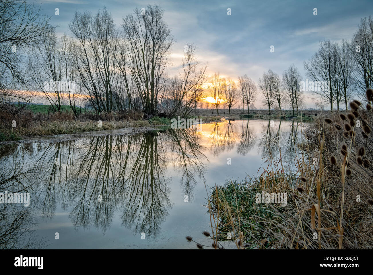 Fen fens river landscape dawn hi-res stock photography and images - Alamy