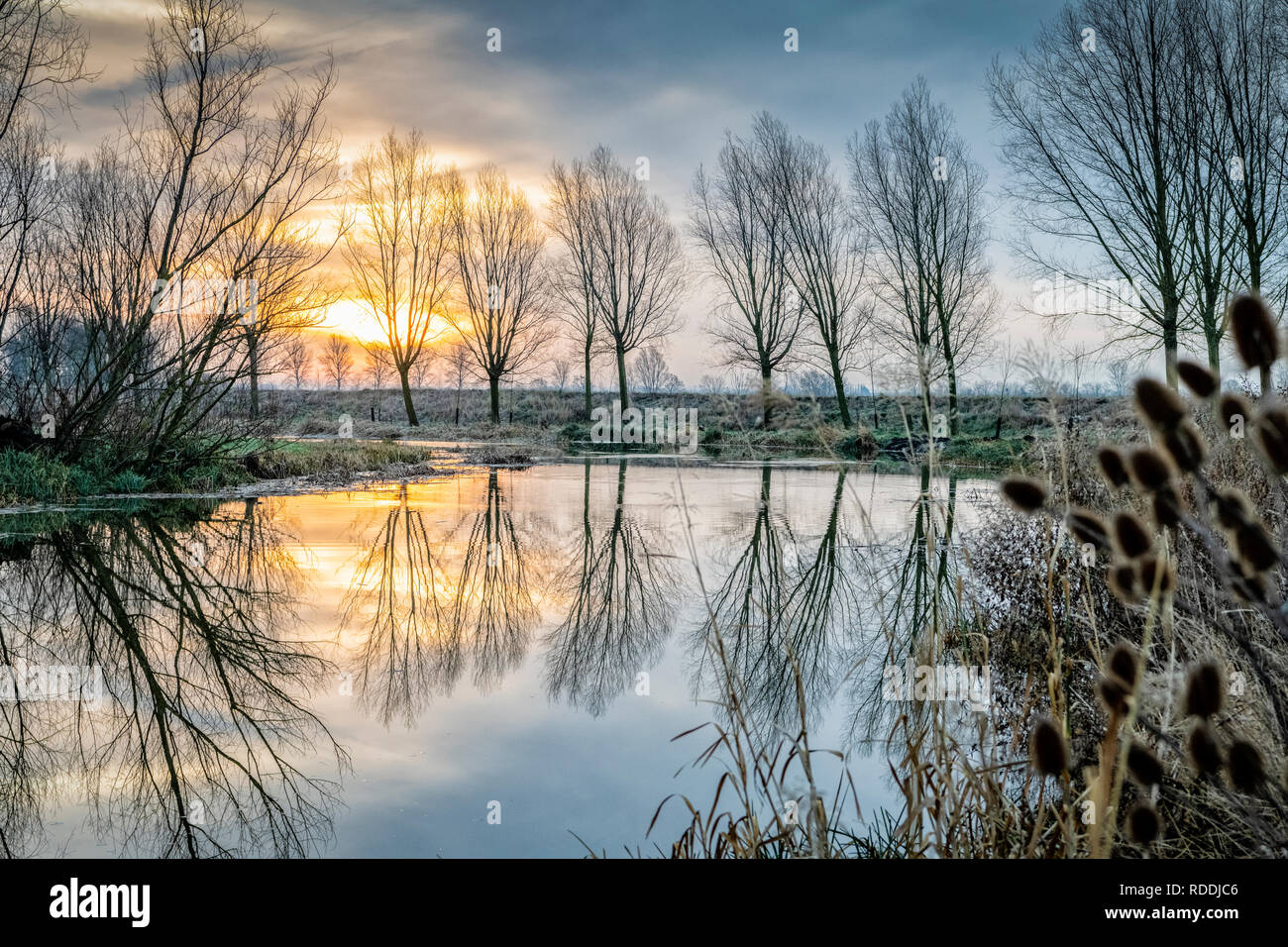Fen fens river landscape dawn hi-res stock photography and images - Alamy