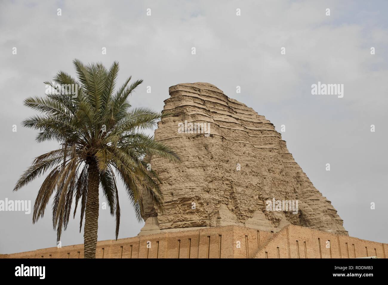 (190118) -- BAGHDAD, Jan. 18, 2019 (Xinhua) -- Photo taken on Jan. 16 ...