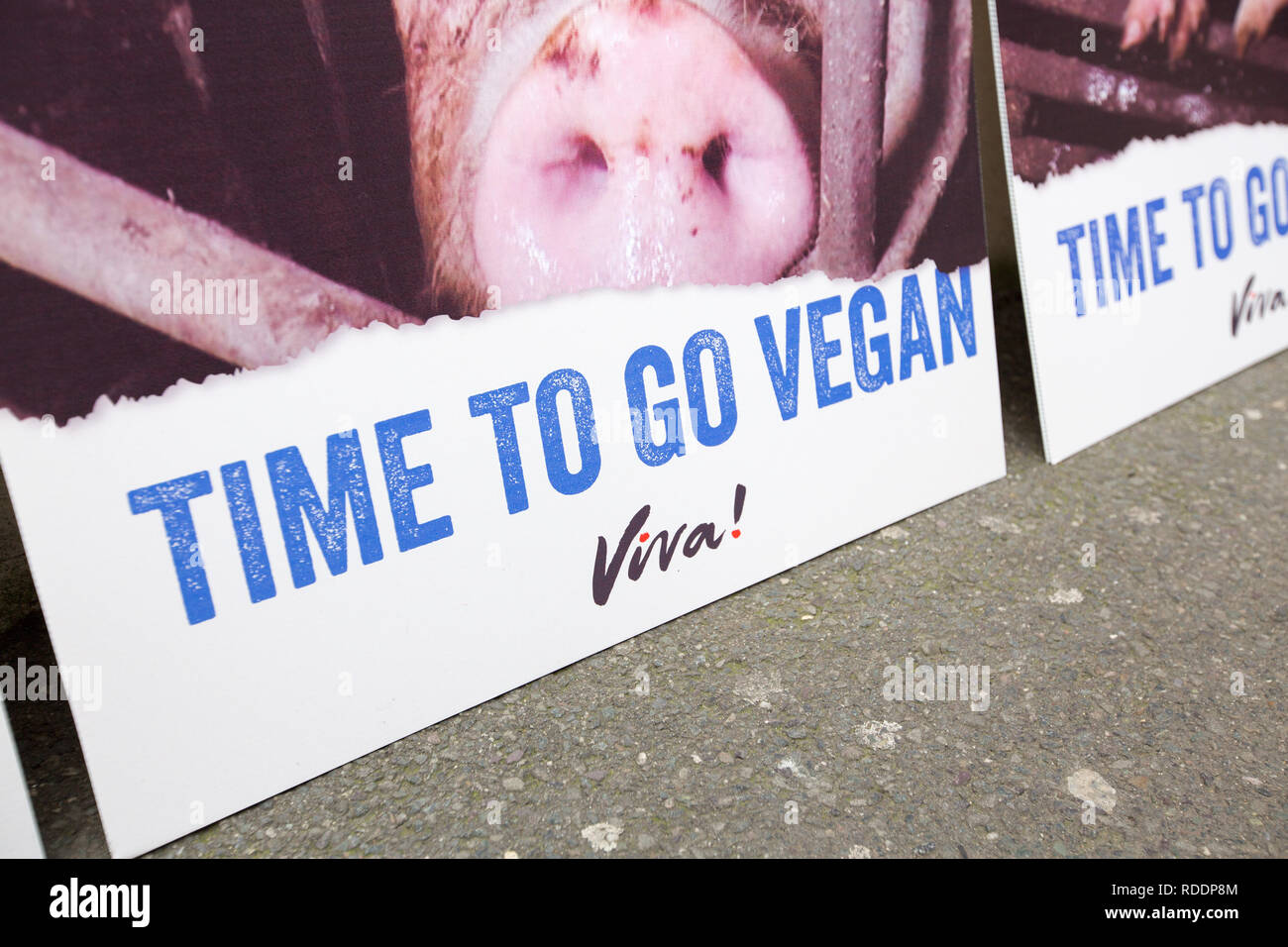 Pig protest trafalgar square hi-res stock photography and images - Alamy