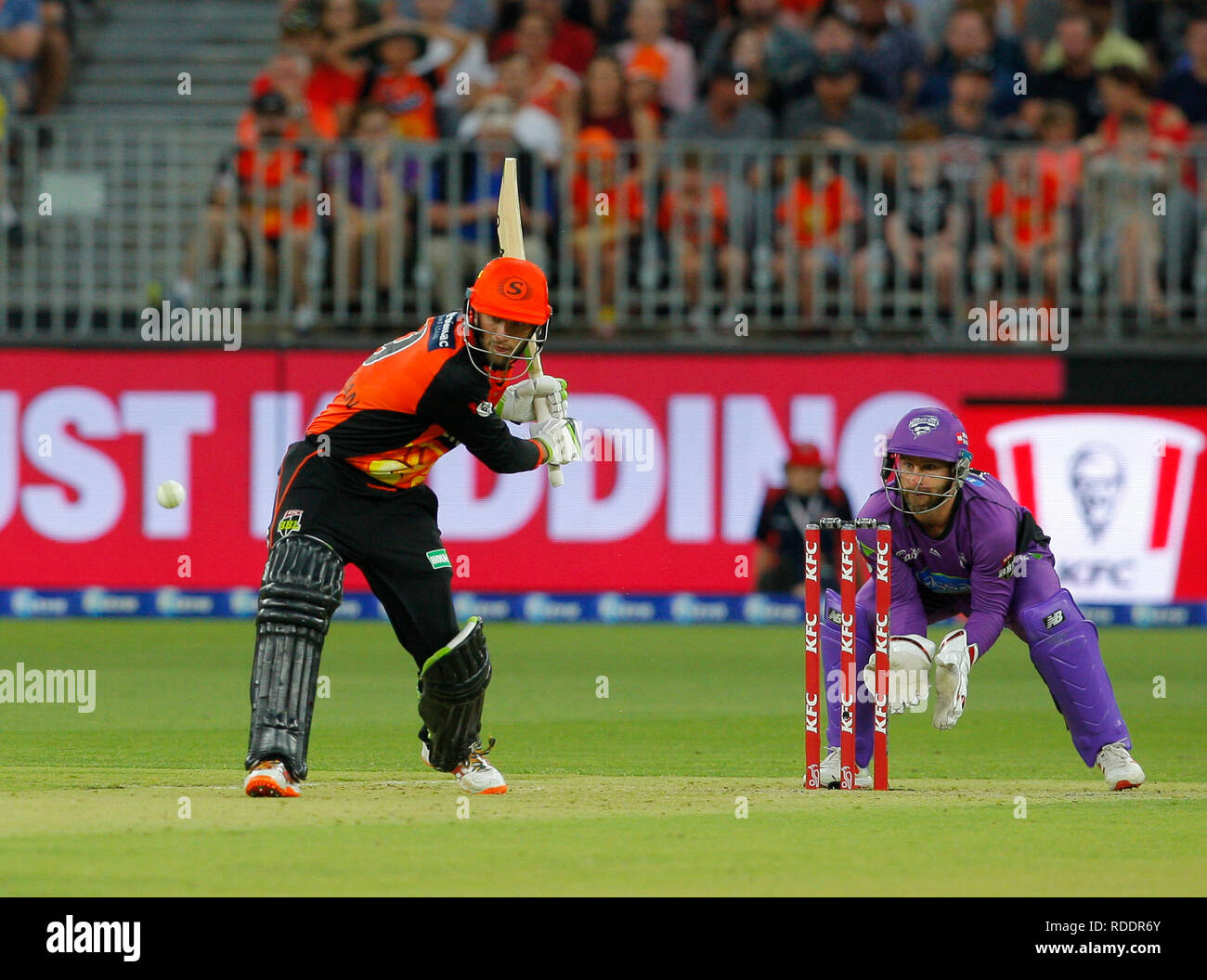 Big bash hobart hi-res stock photography and images - Alamy