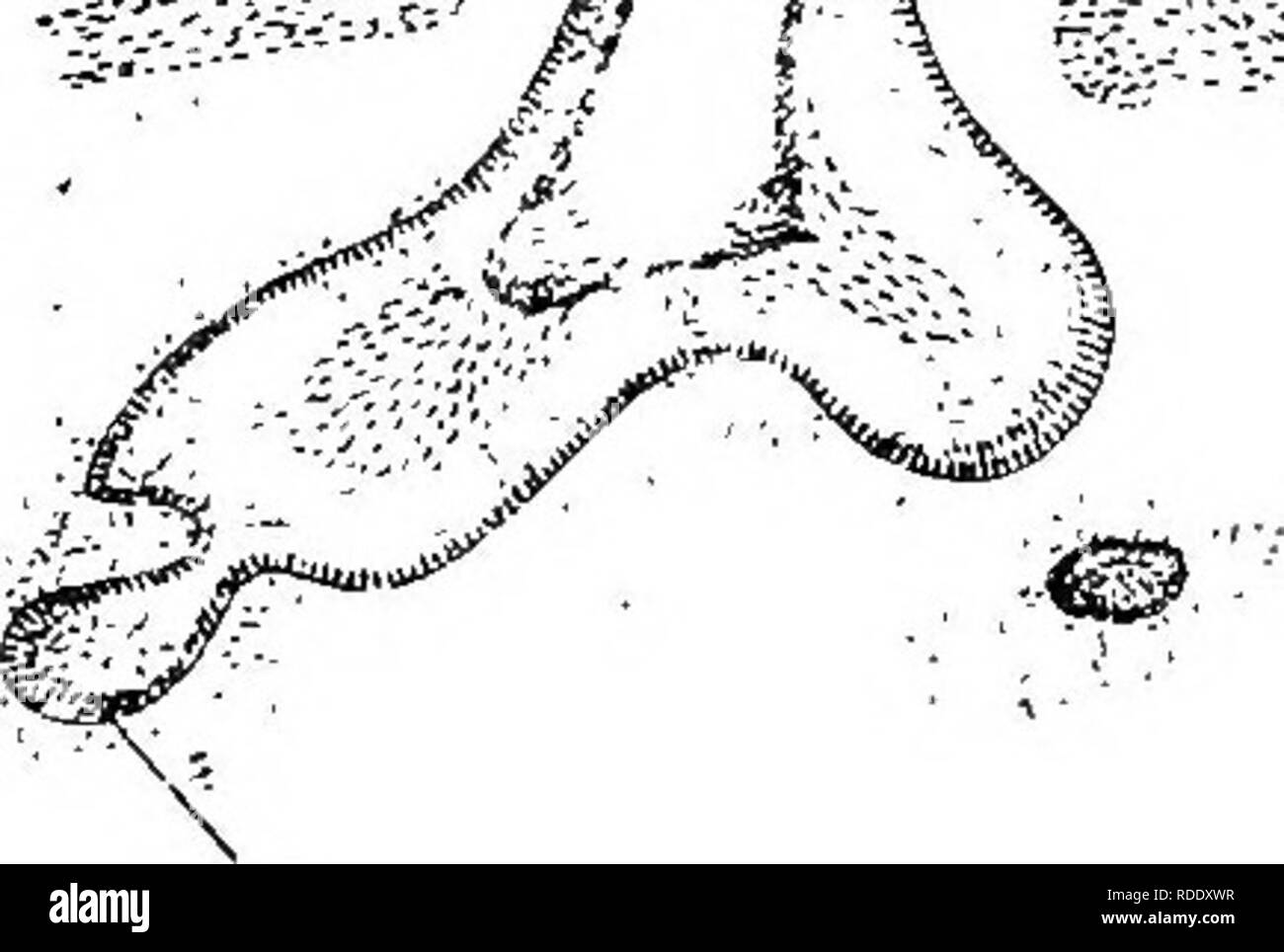 Incubatorium hi-res stock photography and images - Alamy