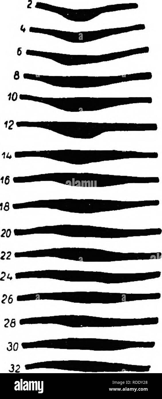 Epidermal strip hi-res stock photography and images - Alamy