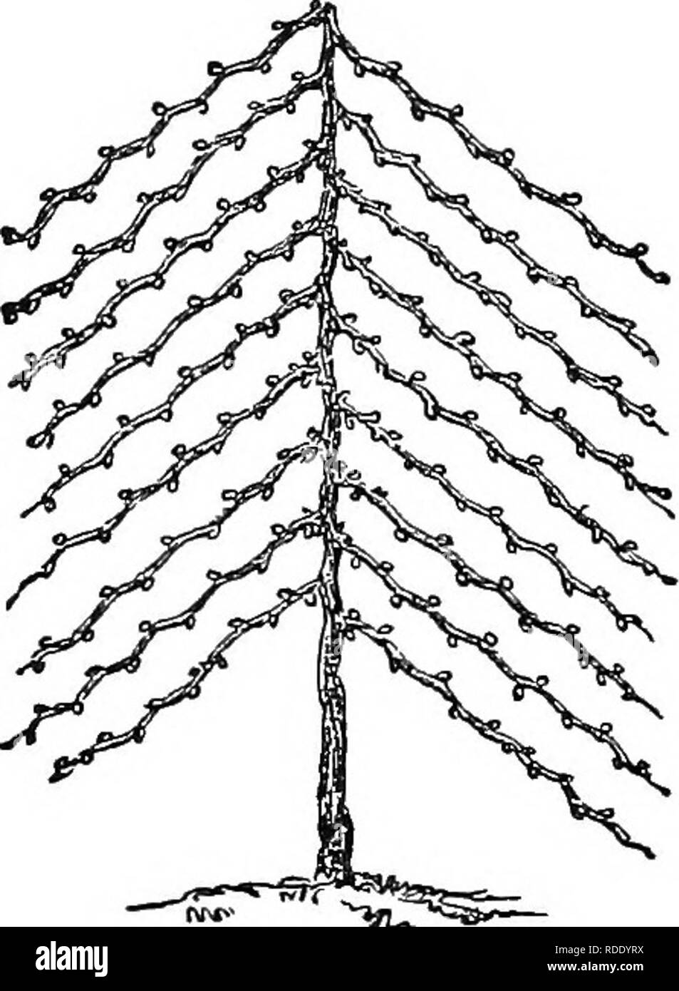 Large coping stones Black and White Stock Photos & Images - Alamy