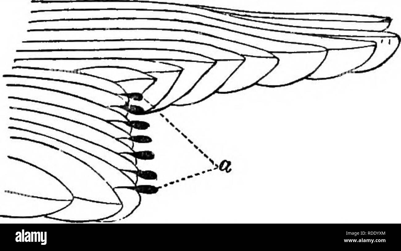 Froute hi-res stock photography and images - Alamy