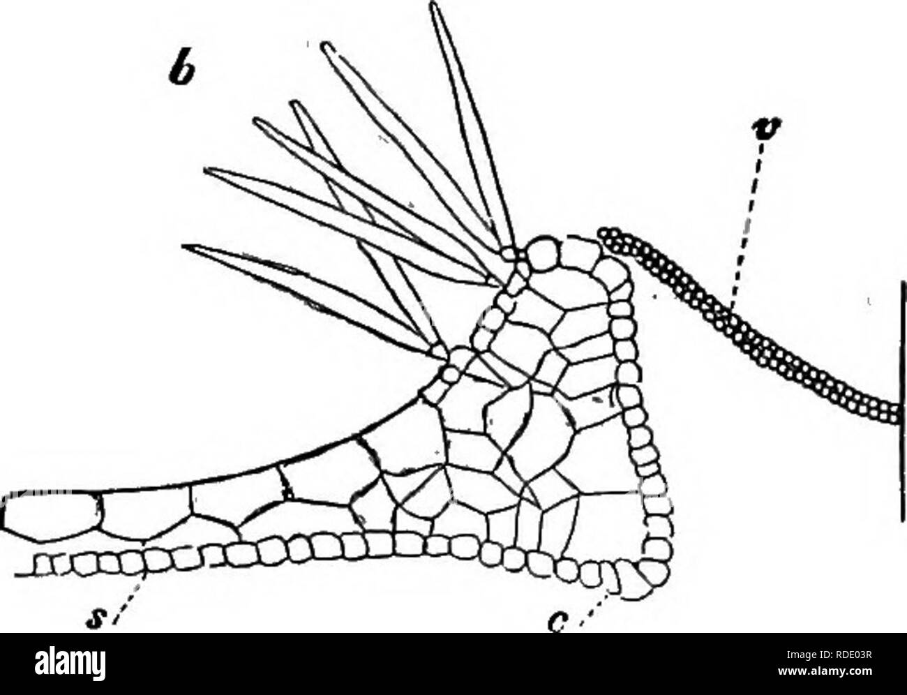 Bpth hi-res stock photography and images - Alamy