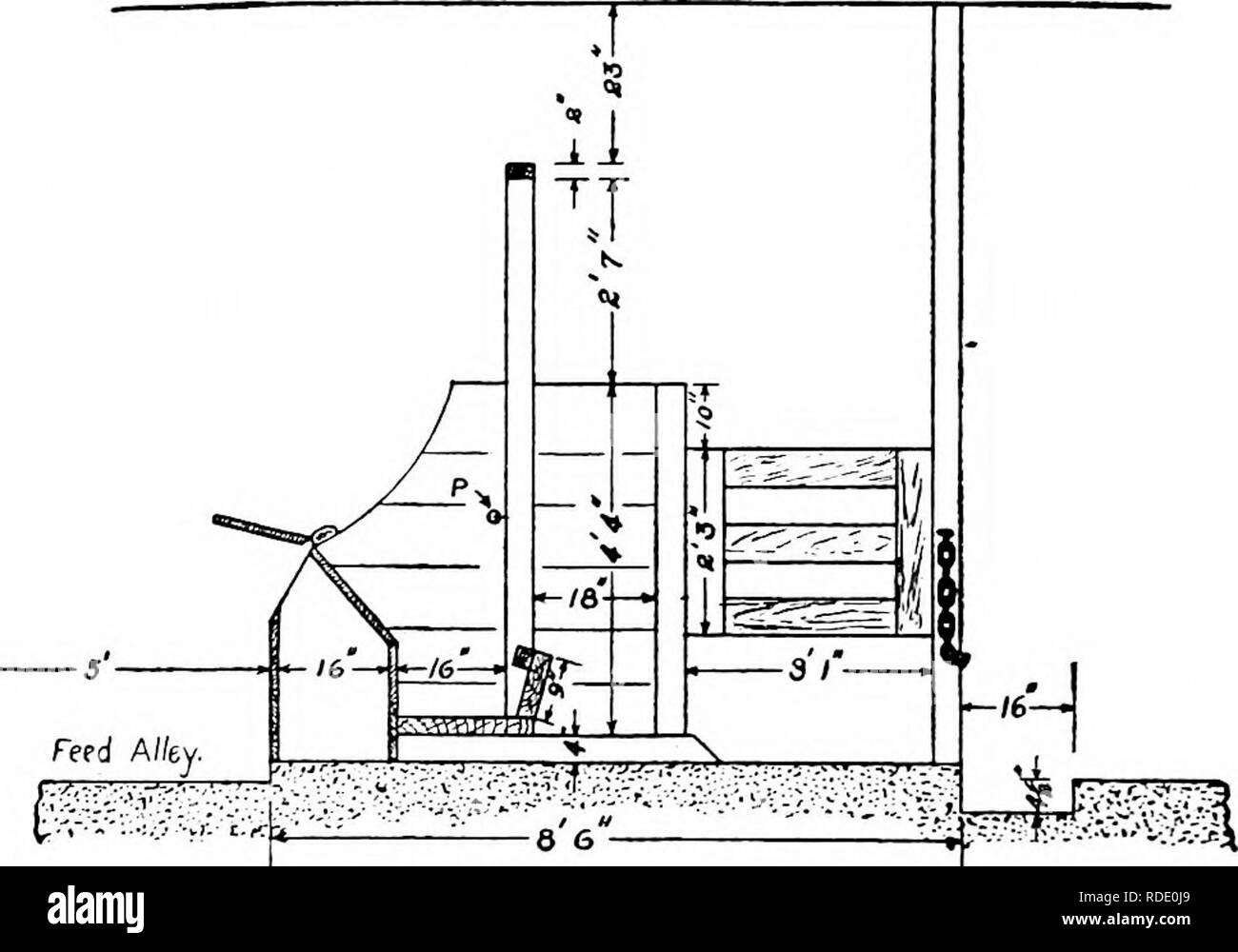 Stanchion Stall High Resolution Stock Photography and Images - Alamy